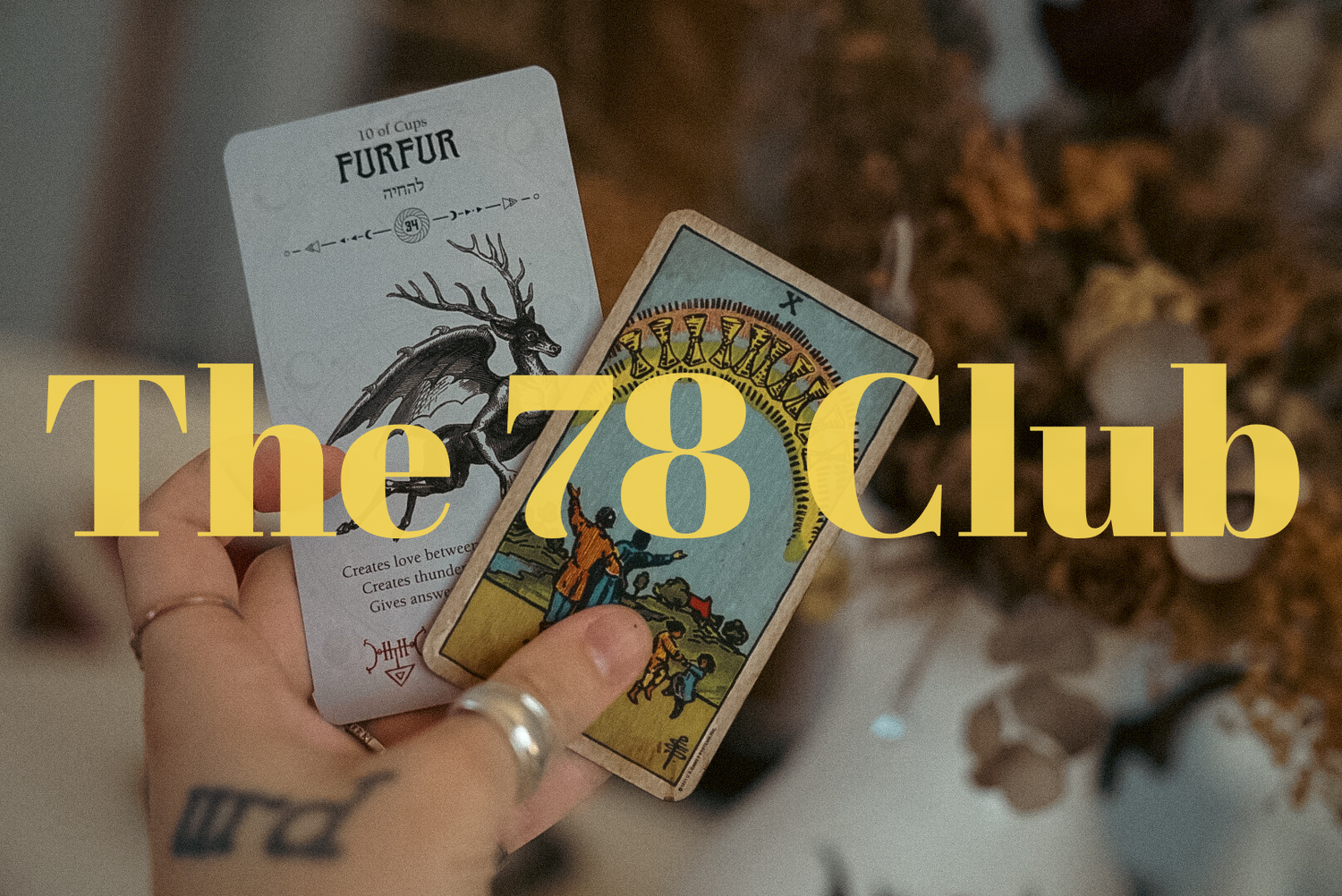 The 78 Club – Shadow & Thorn